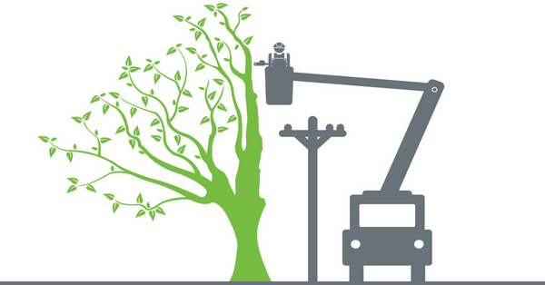 Oswego Update Sept. 8: Senior coffee, ComEd trimming & child safety ...