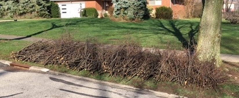 Last Week for Brush Pick-Up