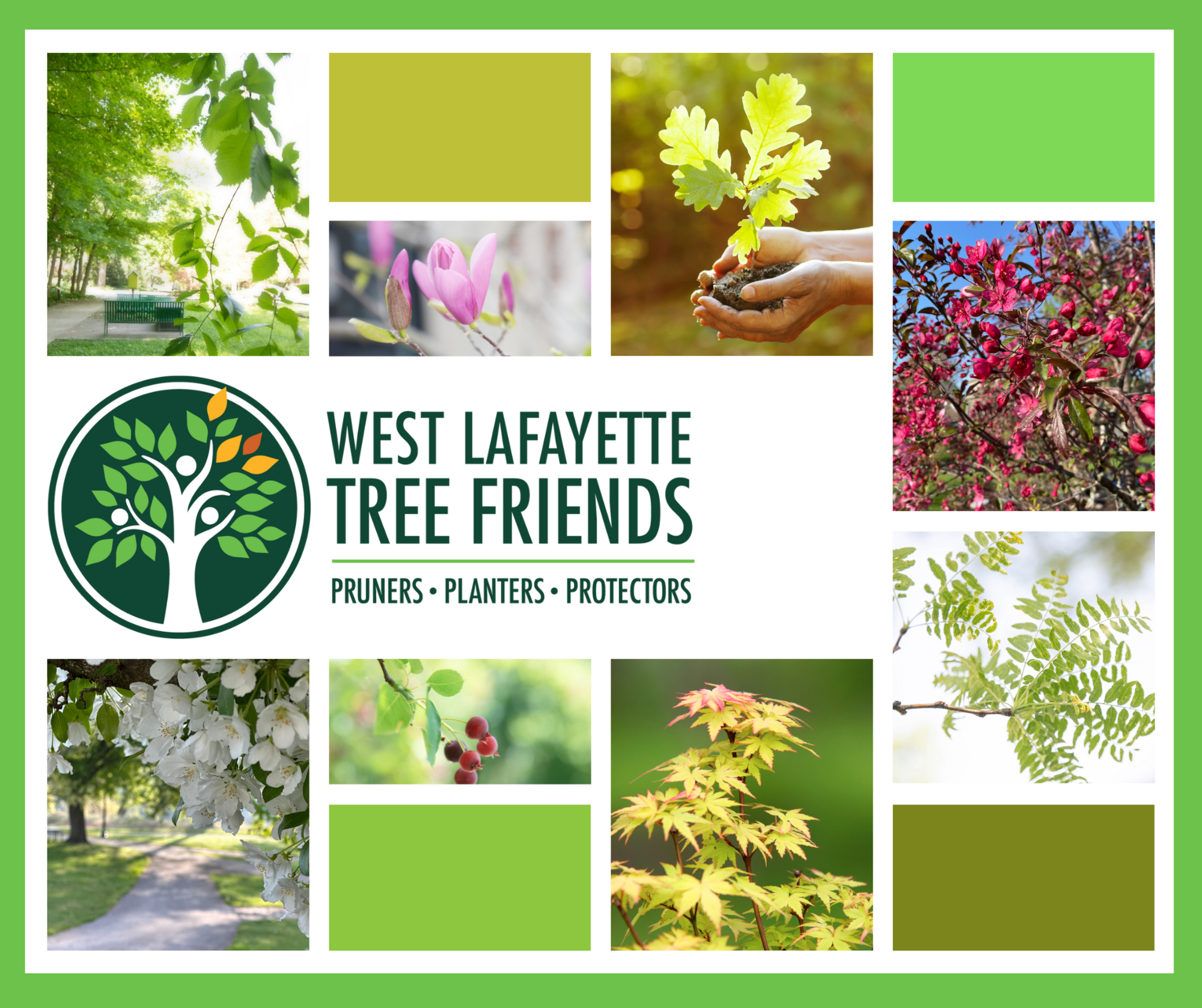 West Lafayette Tree Friends - Urban Leaves - Spring Issue 2024