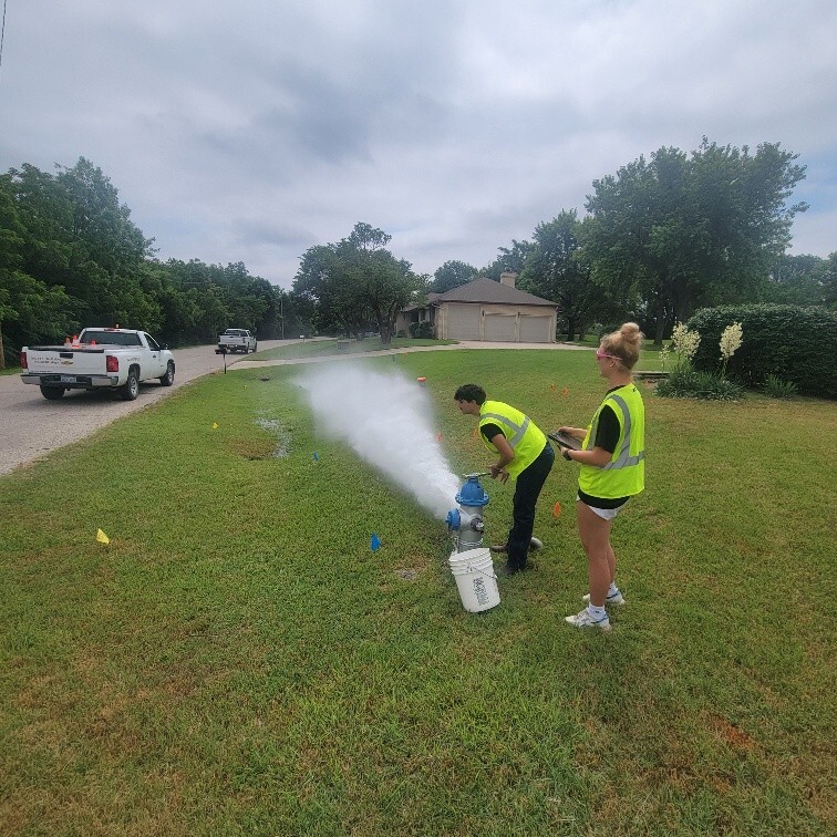 Weekly Update - June 7, 2024