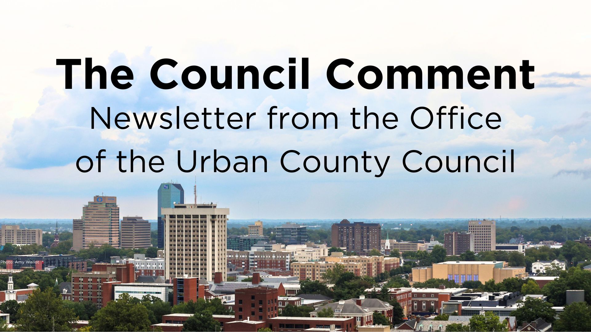 November 2024 Council Comment Newsletter