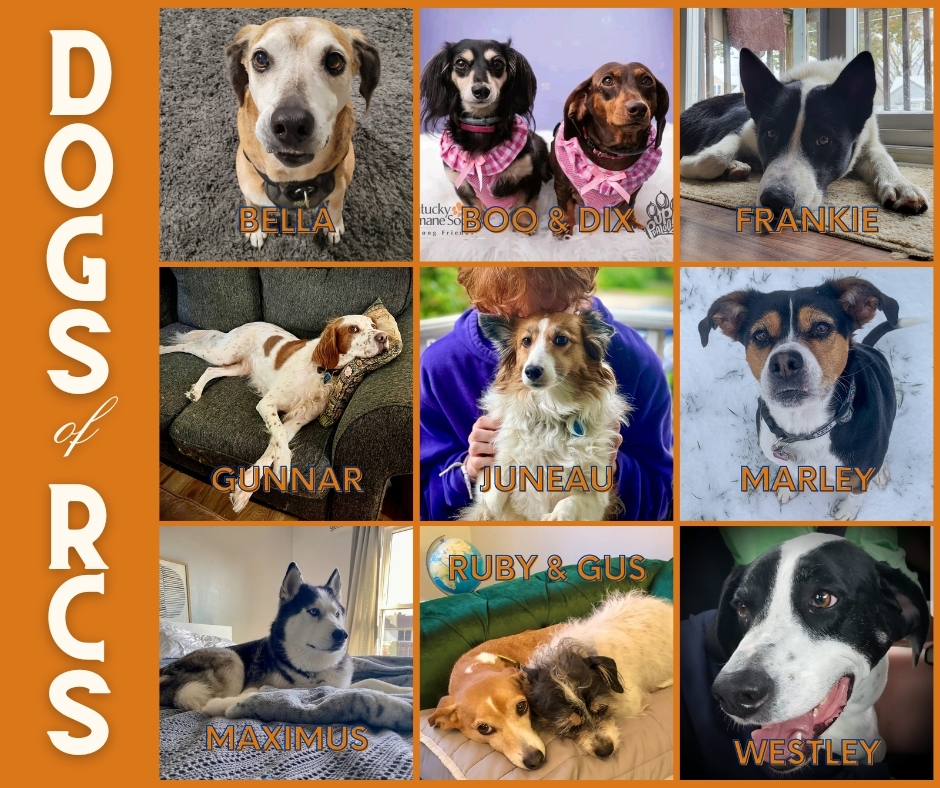 The Resilience Report | Sept. 6, 2023