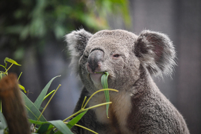 District 17 Newsletter