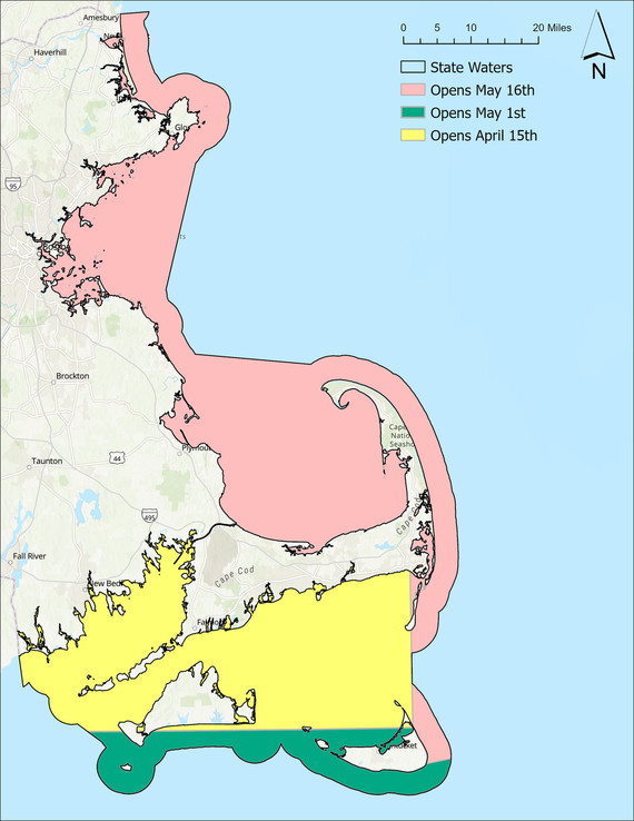 Conch Pot Season to Open and Trap Gear Closures to Protect Right Whales