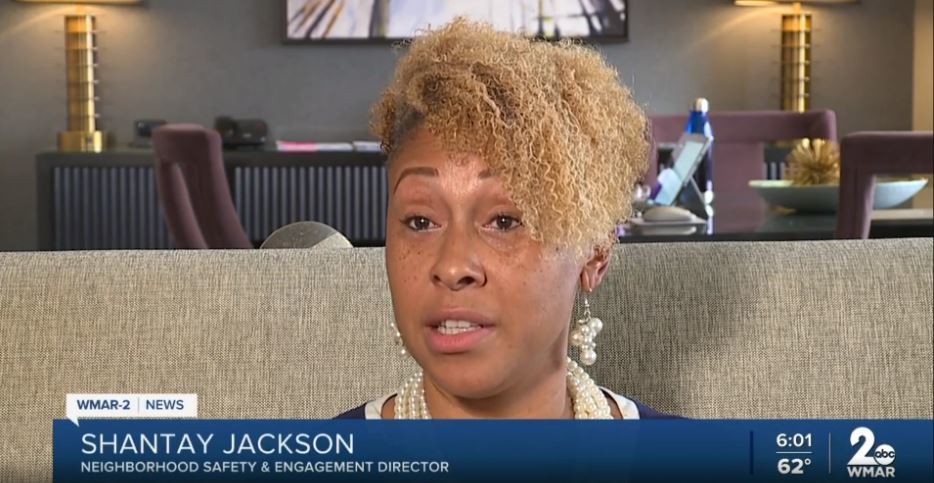 MONSE Mail - November Newsletter