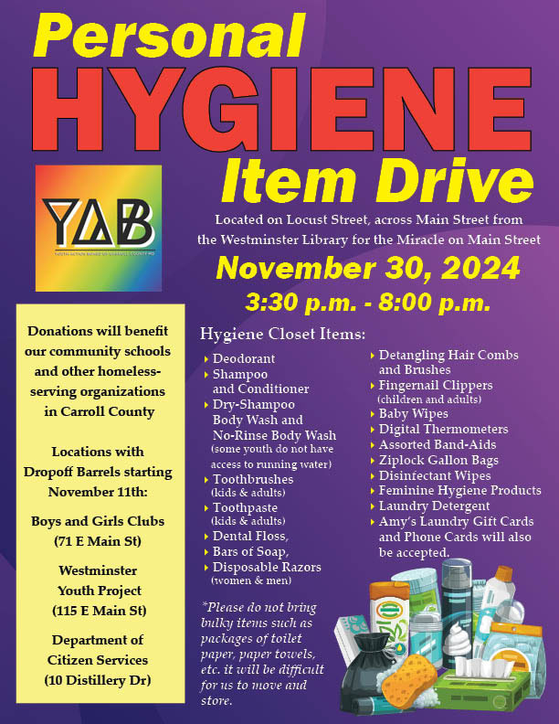 Youth Homelessness Awareness Month - additional information