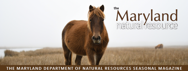 The Maryland Natural Resource Magazine