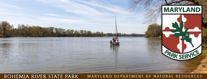 Bohemia River: December 2022