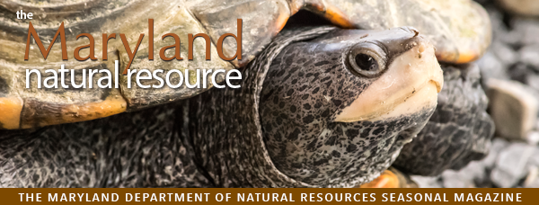 The Maryland Natural Resource Magazine