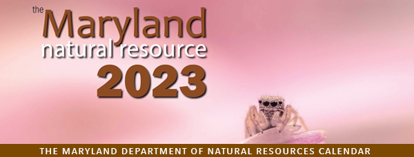 2023 Maryland Natural Resource Calendar Now Available!