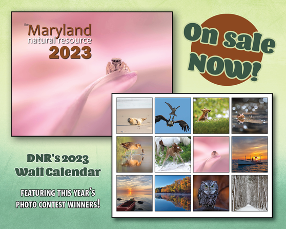 2023 Maryland Natural Resource Calendar Now Available!