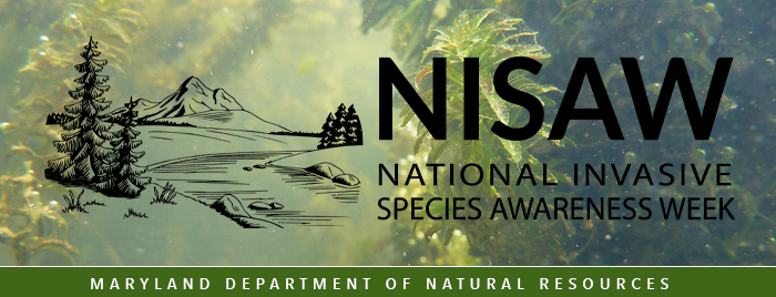 Recognizing National Invasive Species Awareness Week