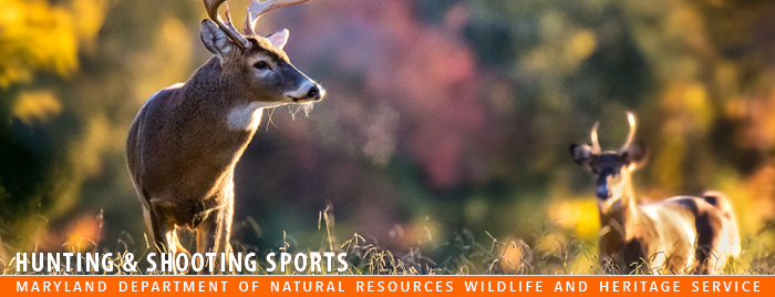 Have you purchased your Maryland hunting license?