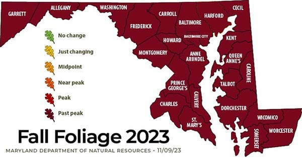 Fall Foliage Report: November 9