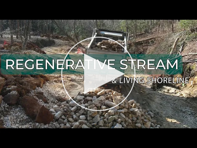 September 2024: An Inside Look at Effective Stream Restoration; DNR's ...