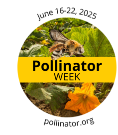 New Germany News: Early June Programs