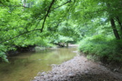 Patuxent River State Park and Freedman's State Park: July Events