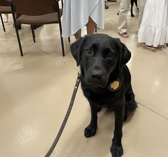 NR 9/16/22 New Explosives Detection Canine Team Graduates