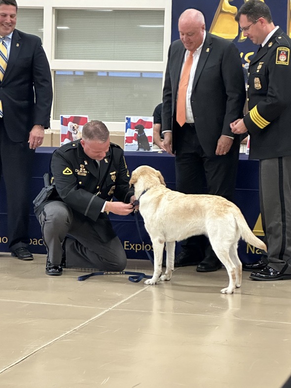 NR 11/13/23 Accelerant Detection K9 "Blondie" Joins the Office of the ...