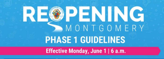 The Albornoz Bulletin Special Edition: First Phase of Recovery