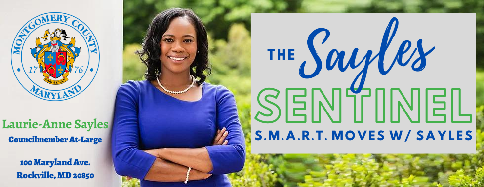 The Sayles Sentinel: Stories Of The Summer