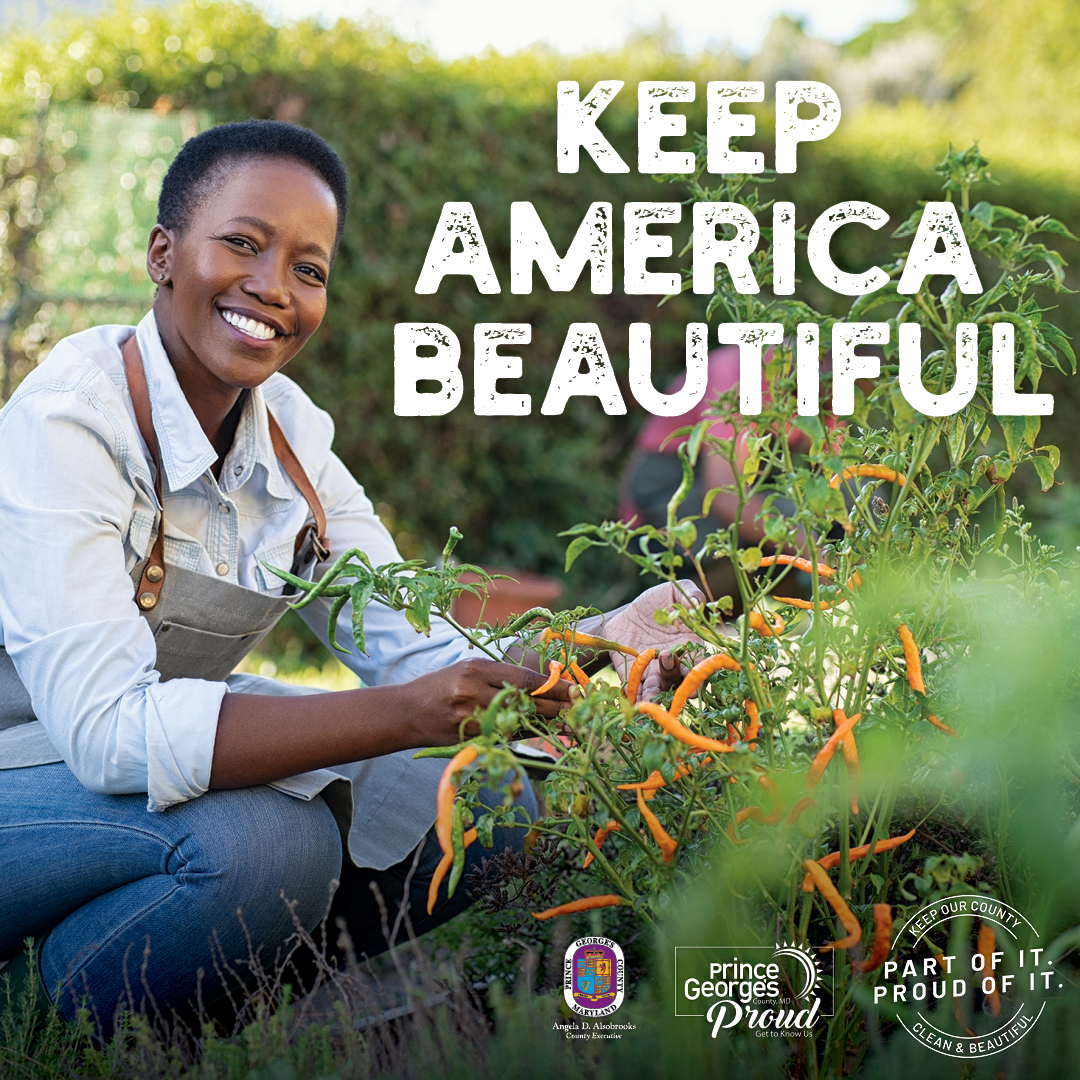 The DoE Sprout - Earth Month Special Edition/Mes de la Tierra Edición ...