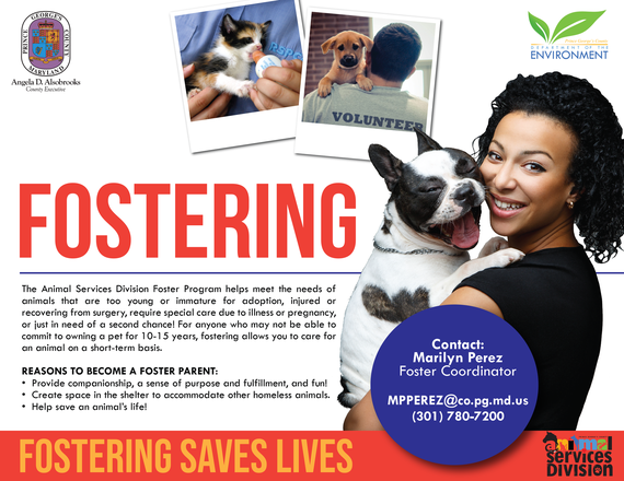 DoE - Animal Chatter News