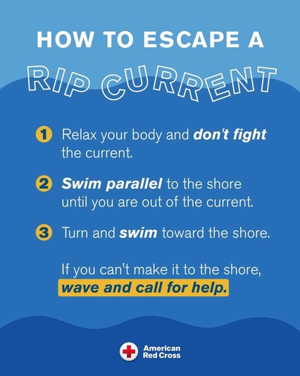 E-Newsletter July 25, 2025