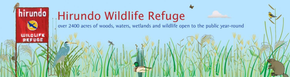 Early October Volunteer Opportunities!