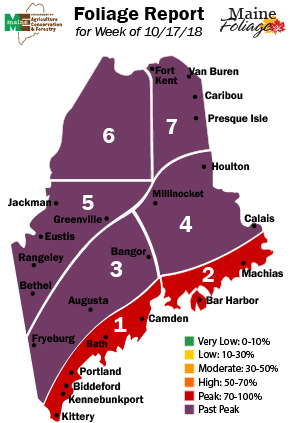 Maine Fall Foliage Weekly Report - October 17, 2018