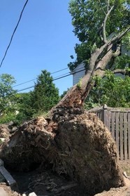 Storm Safety and Cleanup Reminders from the Maine Forest Service