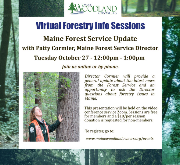 Maine Forest Service Update with Patty Cormier, Maine Forest Service ...