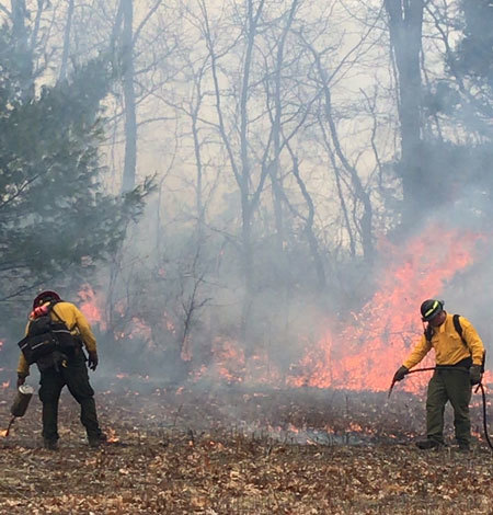 Maine Bureau of Parks and Lands: May 2021 Newsletter