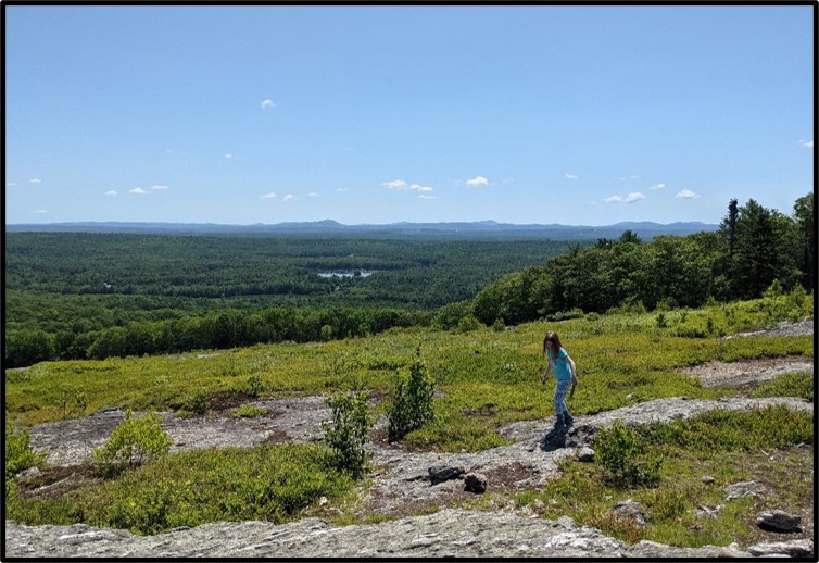 New Maine Geologic Fact and Locality Available