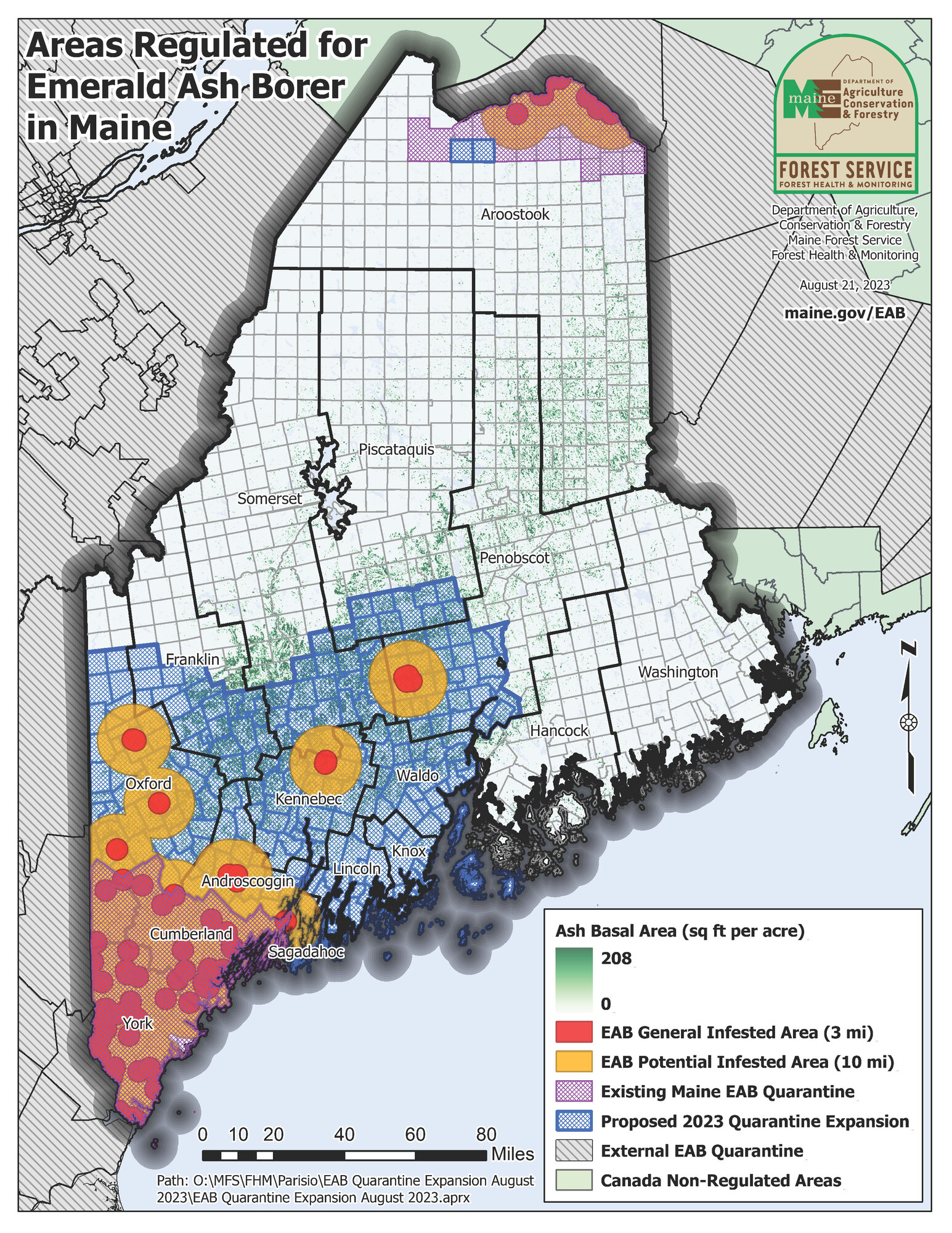 Comment Period on 3 Tree-killing Invasive Species Closes September 22!