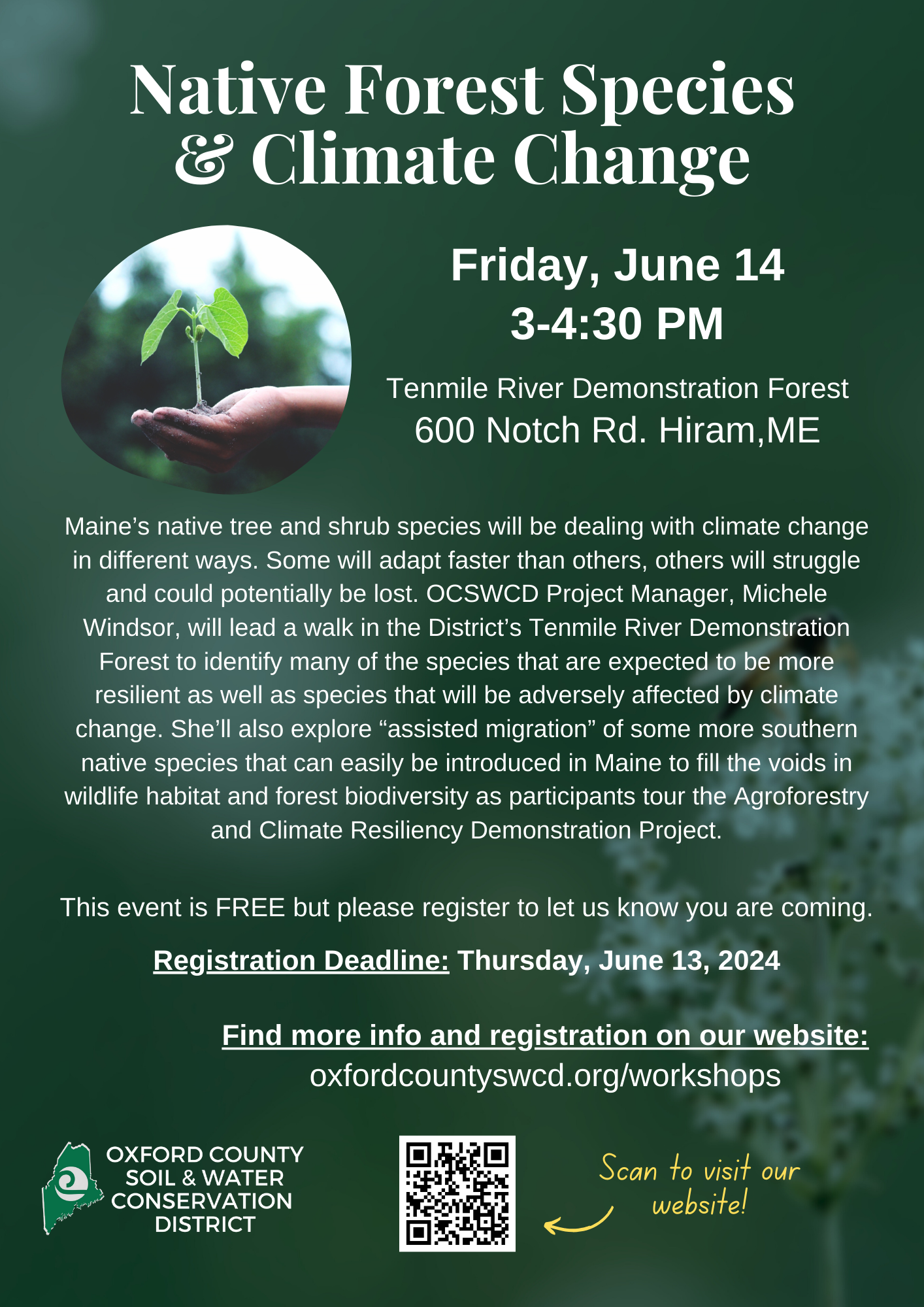 Native Forest Species & Climate Change Walk