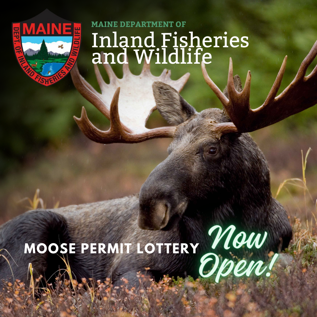 Weekly E-News from Rep. Amanda Collamore