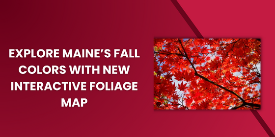 Weekly E-News from Rep. Mark Babin