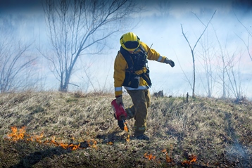 Showcasing the DNR: Prescribed burns ignite wildlife habitat growth