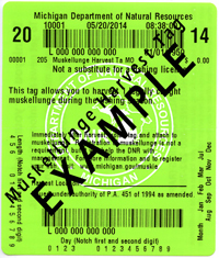 DNR identifies and clarifies muskellunge harvest tag issue