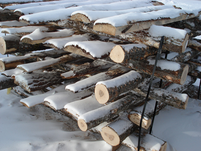 Fish crib structures to be placed in Michigamme Reservoir to provide ...