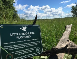 Need a new place to duck hunt? Check out Little Mud Lake Flooding