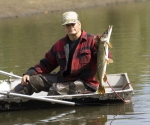 DNR License/Season Reminder: pike, walleye, turkey, bear/elk drawing, ORV