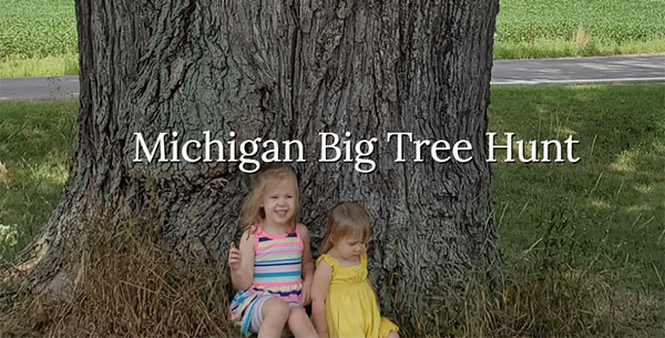 Urban and Community Forestry News - April 5, 2024