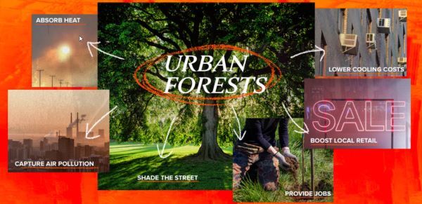 Urban and Community Forestry News - Feb. 26, 2021