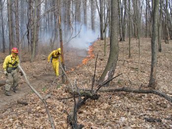 Fire staff resume prescribed burns statewide