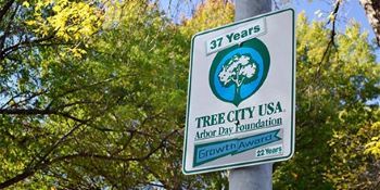 DNR announces annual Tree City USA honorees