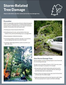 Urban and Community Forestry News - Jan. 28, 2022