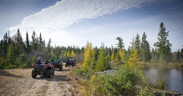 DNR News: Maple syrup, fly fishing, forest roads and more