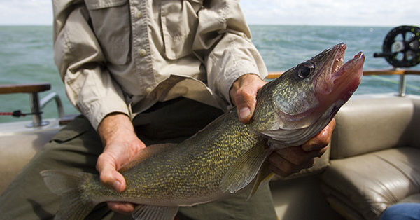 Don't miss walleye clinic with world champion Mark Martin, May 2-3
